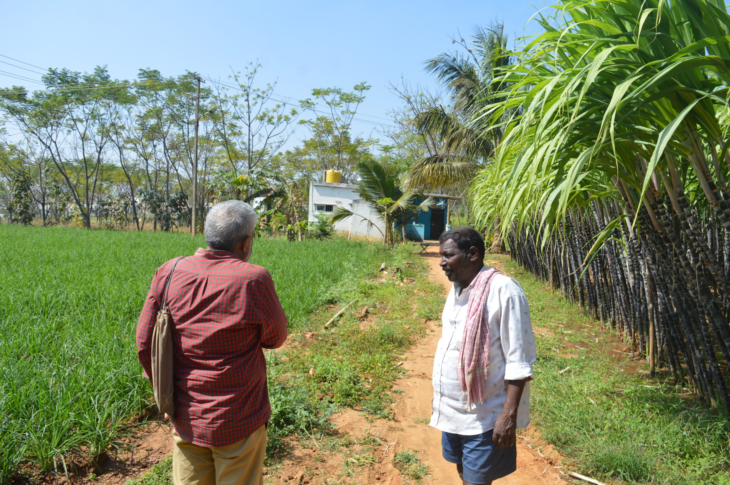 Farming - A Rocha India