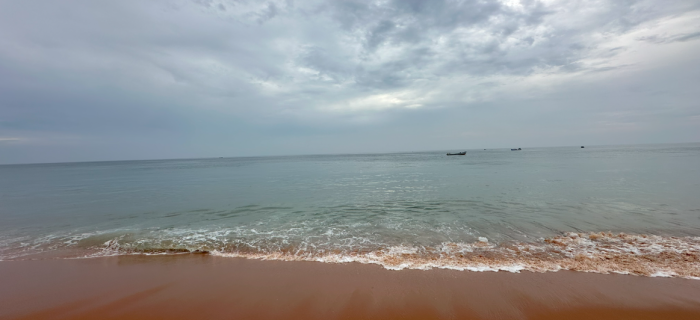 Current Projects - A Rocha India